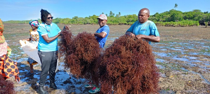 Ocean at Risk: UNOC3 Pushes Urgent Action on Climate and Pollution ...